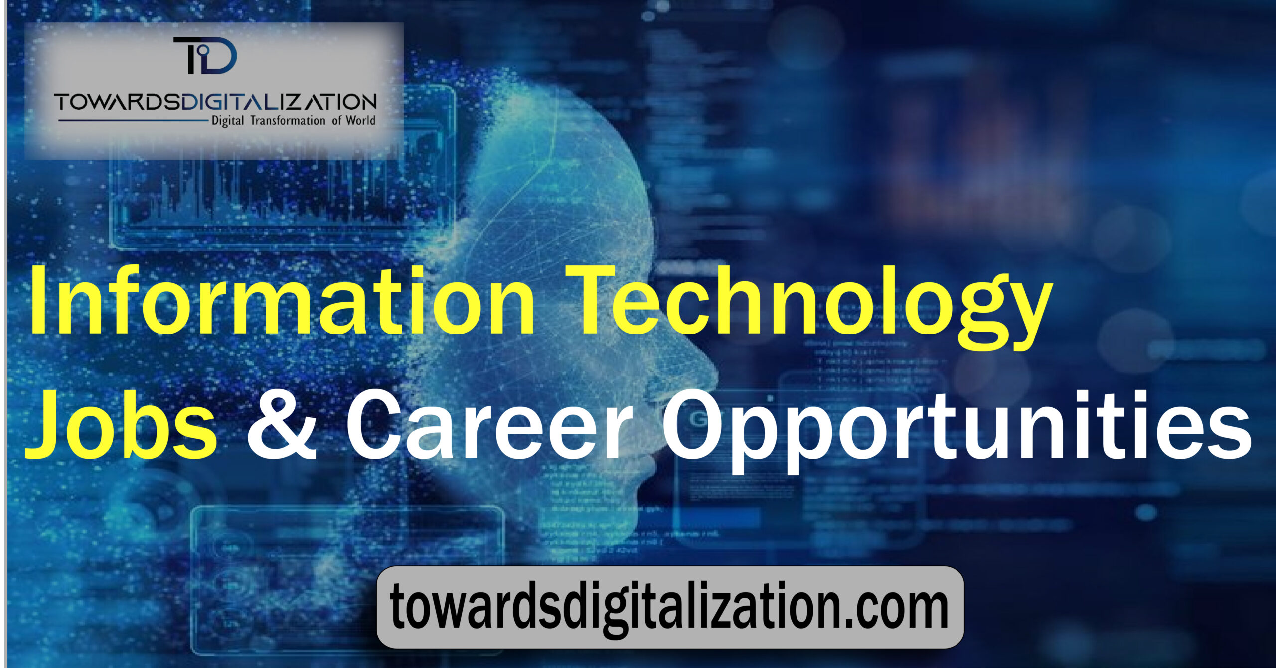 Information Technology Jobs & Career Opportunities