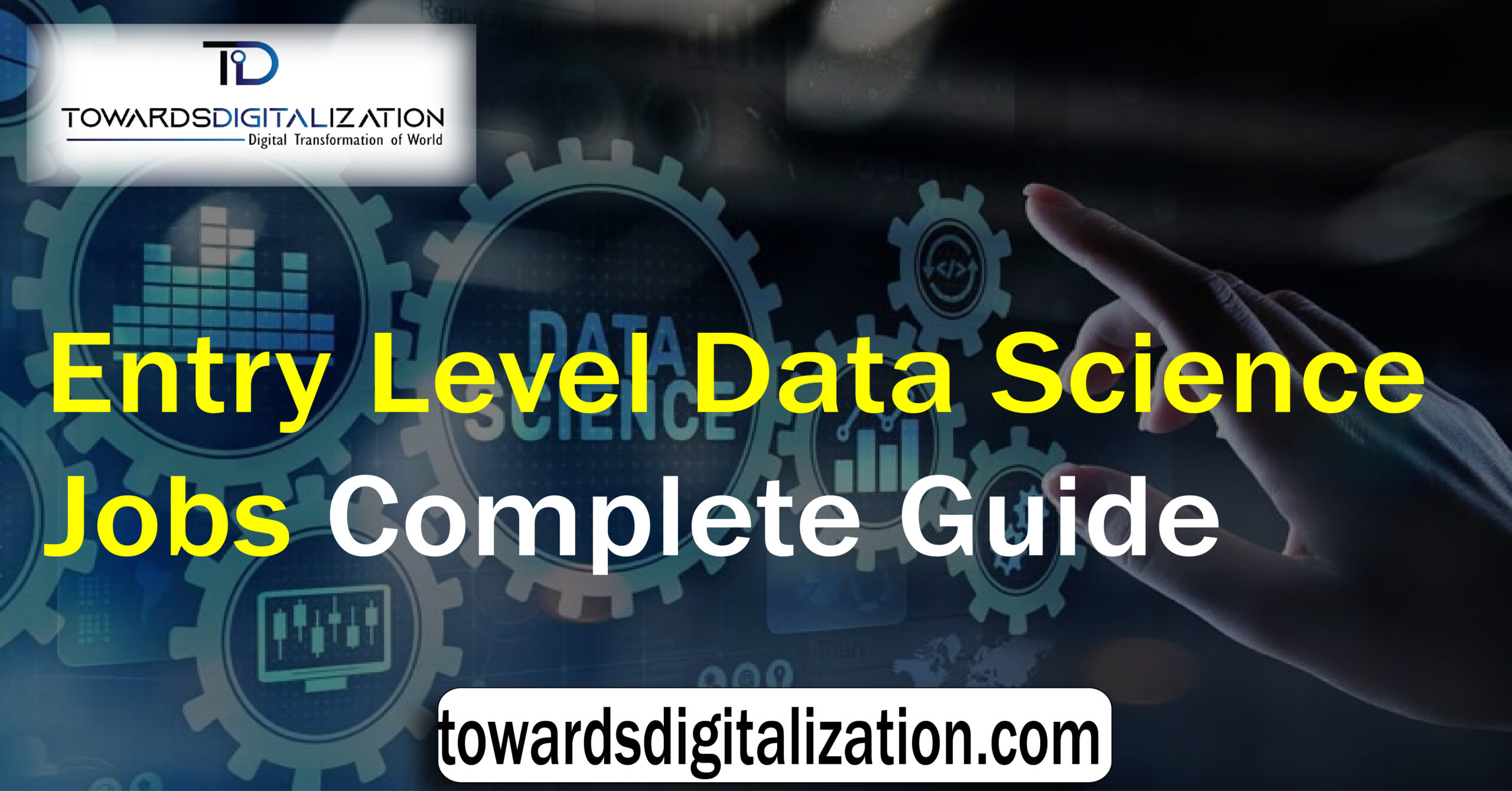 Entry Level Data Science Jobs: Complete Beginner Guide