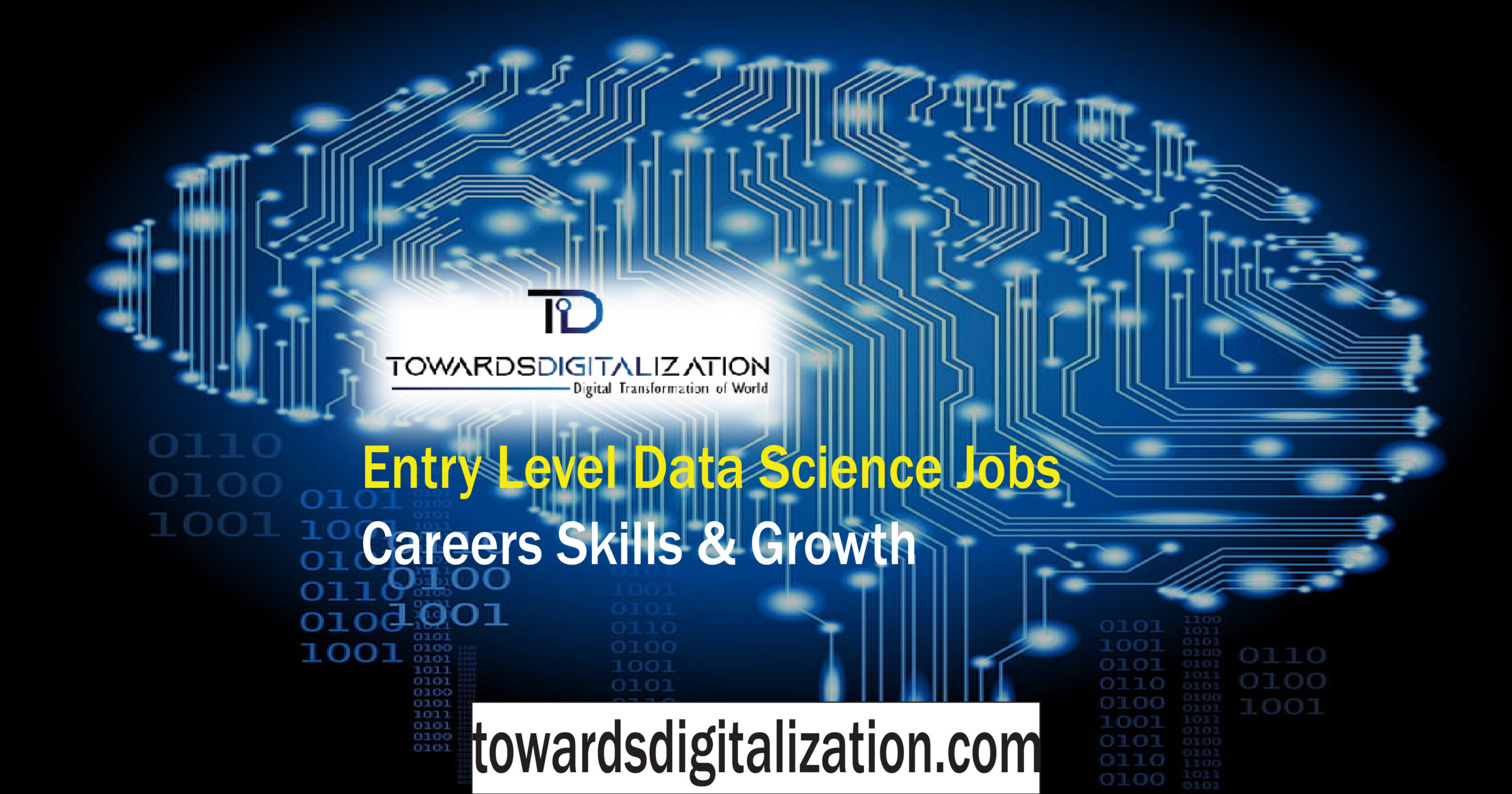 Entry Level Data Science Jobs Careers Skills & Growth